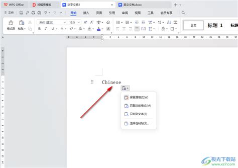 Wps文字怎么取消句首字母自动大写？ Wps文字取消英文句首字母自动大写的方法 极光下载站