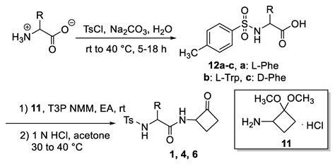 In Silico Binding Of 2 Aminocyclobutanones To Sars Cov 2 Nsp13 Helicase