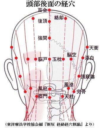 ヘッドスパって、頭皮マッサージ？頭のツボ押し？ 春月の『ちょこっと健康術』