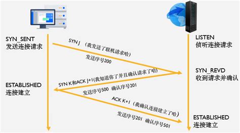 TCP IP 网络基础知识教程 极客文档