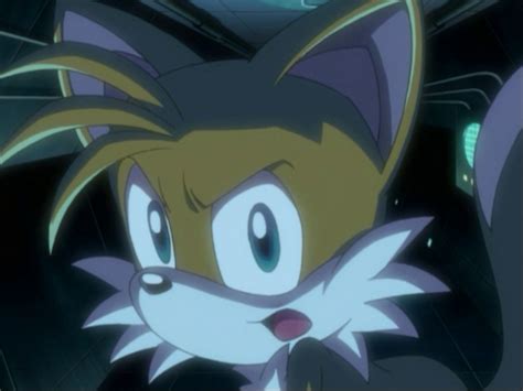 Daily Tails Pics Sonic X On Twitter Tails Will Do Everything To Protect His Cosmo Tails