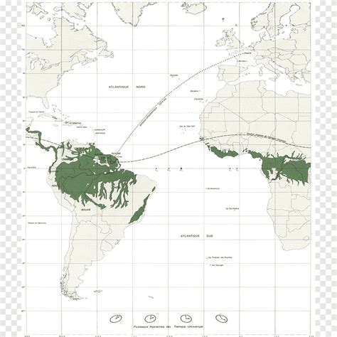 Map Tuberculosis Map Border World Png Pngegg