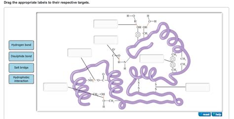 The Tertiary Structure Of A Protein Is A Complex