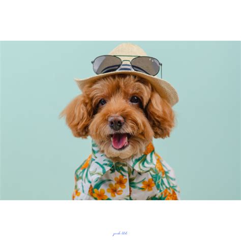 Geek Speaks Episode 6 The Importance Of Leveraging Data And Analytics