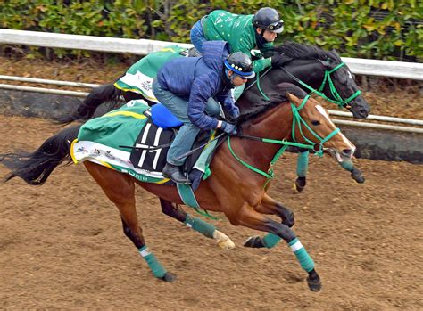 スプリングステークス2019最終予想｜ロジャーバローズから3連複11点予想！【2019年3月17日】 フランケルjrの競馬予想