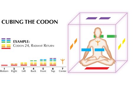 The Law Of Time Cubing The Codon Practice