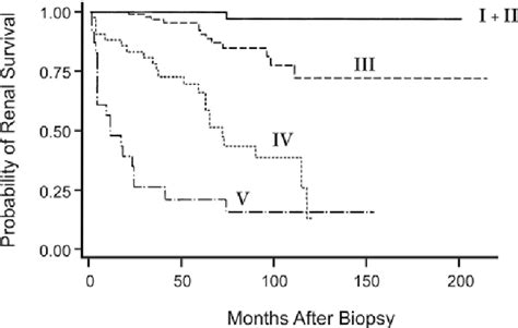 Figure 1 From Iga Nephropathy Does Histologic Grading Really Matter Semantic Scholar