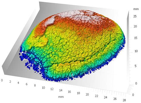 Surface Topology And Chemical Analysis Services Nanoveananovea
