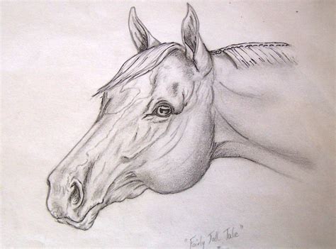 Рисунок голова лошади 37 фото