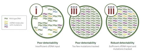 Haystack Mrd™ Optimizing Ctdna Detection Haystack Mrd™ By Quest Diagnostics® Posted On The