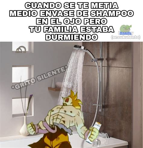 Shampoo Y La Concha De Tu Madre Meme Subido Por Sr Zukulento Memedroid