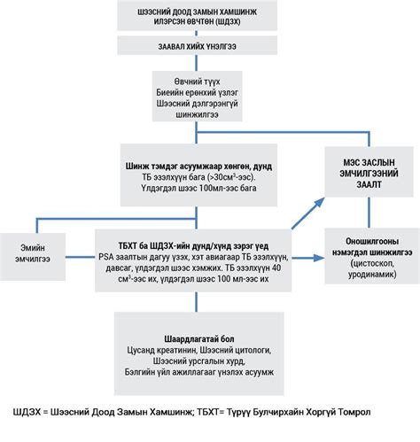 Цэвэршилтийн үеийн оношилгоо эмчилгээний заавар By Buyantmanal Uemt Issuu