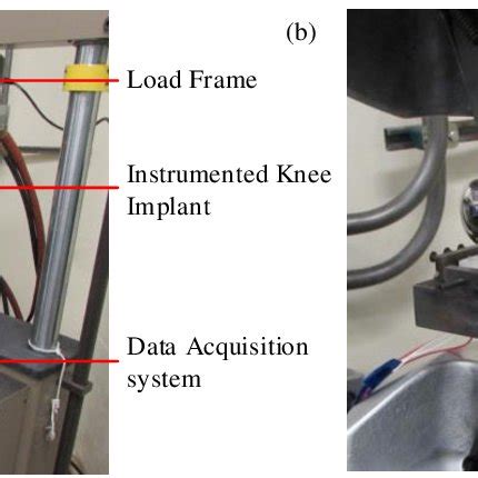 Experimental Compression Testing Setup Including A Overall Setup And Download Scientific