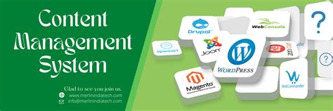 Crm Development And Customization Merlin India Tech