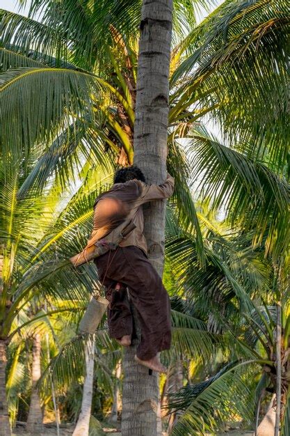 Premium Photo Low Angle View Of Man Hanging On Tree