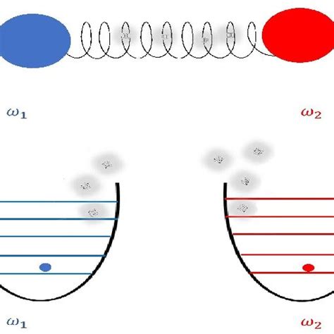 Color Online The Schematic Shows Two Coupled Oscillators Via A Download Scientific Diagram