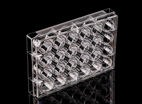 중국 무처리 24웰 세포 배양 플레이트 제조업체