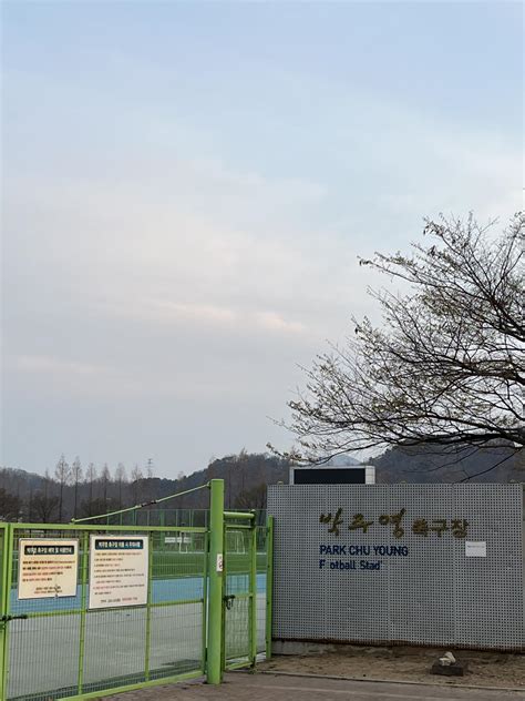 주멘 자유 울티메이트