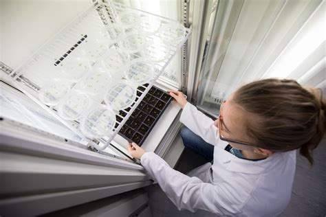 Plant Science Lab University Of Dundee Photo Team