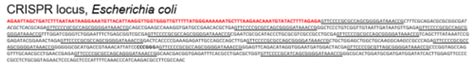 Lecture 1 Microorganisms And Evolution Flashcards Quizlet