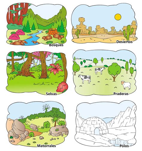 Ecosistema Terrestre Características Tipos Ejemplos Rdmba