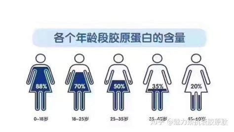 胶原蛋白功效和作用好不好适合人群看这里 知乎