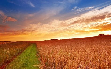 200 Agriculture Backgrounds