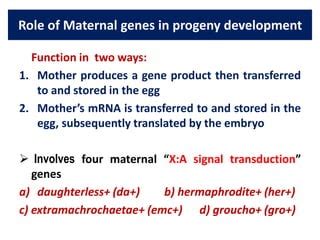 Sex Determination In Insects PDF Infertility Reproductive Health