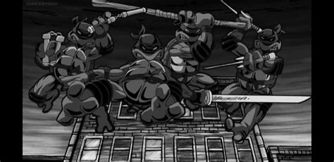 Can We Please Get More Of Turtle Prime In Our Life Including