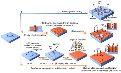 河大张宁教授and北科大刘永畅教授angew：原位集成疏水且快锌离子导体型无机sei助力长寿命金属锌负极 X Mol资讯