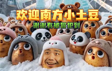 被“南方小土豆”掩盖的真正问题是…… 有轶见的kris 有轶见的kris 哔哩哔哩视频