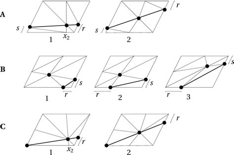 configuration of the hierarchical basis functions v b for the different