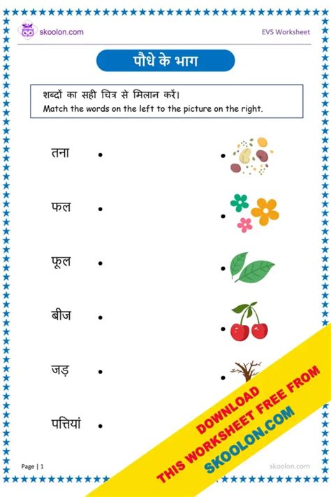 Parts Of Plants In Hindi Worksheet