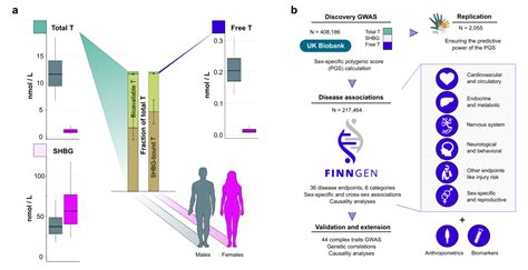 Understanding The Health Impacts Of Your Genetically Determined