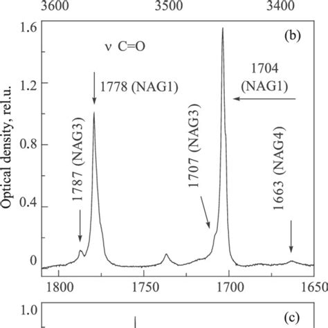 Ftir Spectra Of N Acetylglycine In An Argon Matrix T ¼ 6 K M S ¼ 700
