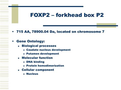 Ppt Foxp2 Verbal Dyspraxia And The Evolution Of Human Language