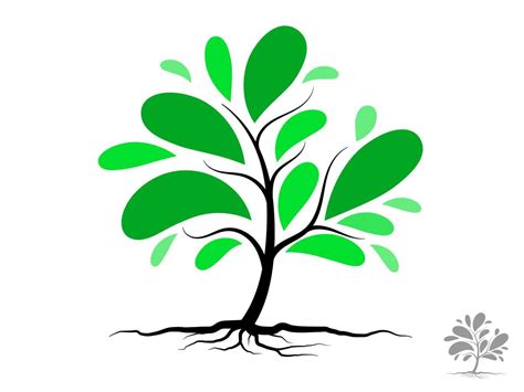 Black Branch Tree Or Naked Trees Silhouettes Set Hand Drawn Isolated Illustrations 18976662