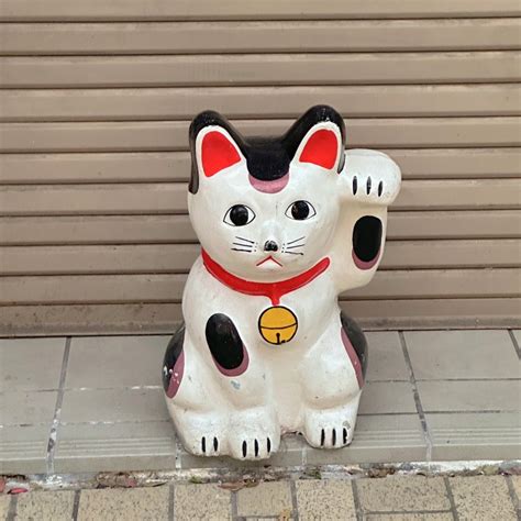 [일본여행] 마쓰야마 다카마쓰 4박 5일 준비 여행자보험 Esim 시코쿠레일패스 준비물 네이버 블로그