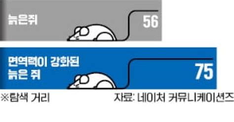 면역력 좋으면 천천히 늙는다…늙은 쥐 실험서 수명 연장 입증