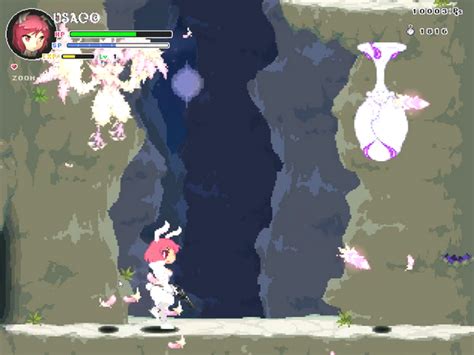 Echidna Wars Dx Download Games4win