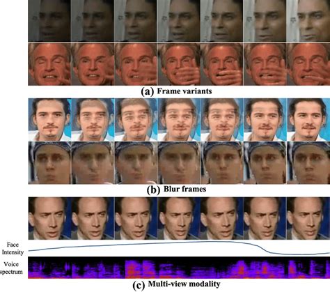 The Challenges Of Video Based Kinship Verification Download Scientific Diagram