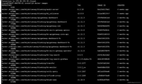 Docker镜像仓库地址大全 国内docker镜像仓库 Csdn博客