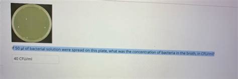 Solved If 50 Pl Of Bacterial Solution Were Spread On This