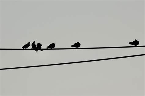 Timeout An Obscure Corner