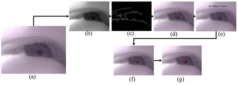 4 Intensity Based Ellipse Fitting A The Original Color Image Download Scientific Diagram