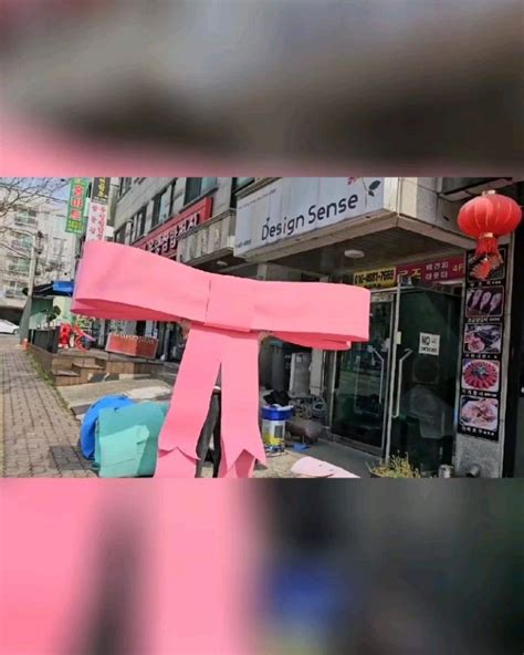 디자인센스 자이언트플라워 초대형박스 상자 초대형꽃 에바폼꽃 페이퍼플라워 포토존제작 조명숙플라워 Watchv