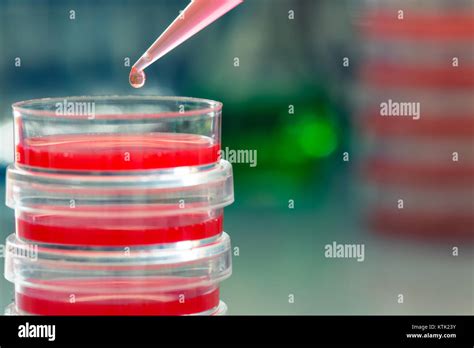 Laboratory Of Polymer Chemistry Stock Photo Alamy