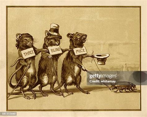 Nursery Rhyme Book Photos And Premium High Res Pictures Getty Images