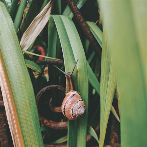 Maths Teacher Training Scholarships On Linkedin Fibonacci Fibonaccisequence Mathsiseverywhere