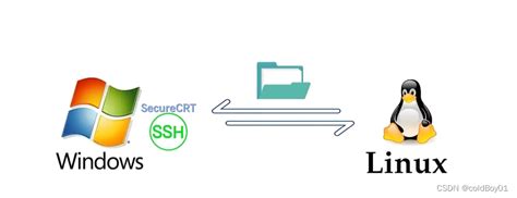linux 上传和下载文件 linux上传与下载文件 csdn博客